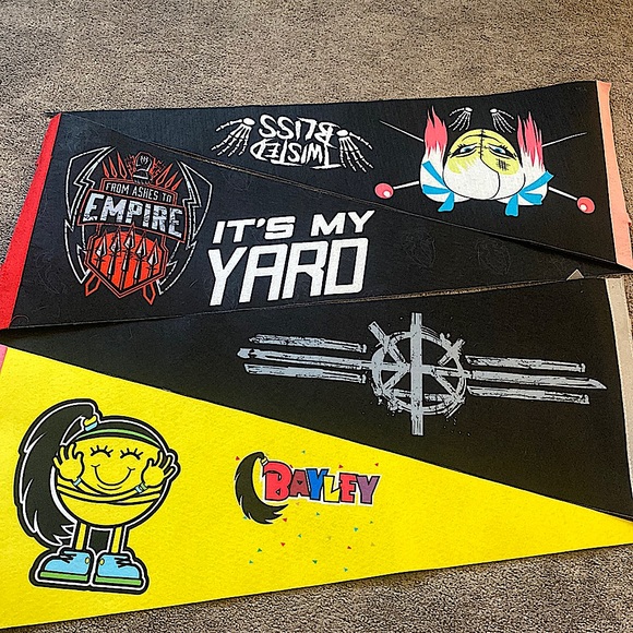 Wall Decor | Wwe Flags | Poshmark